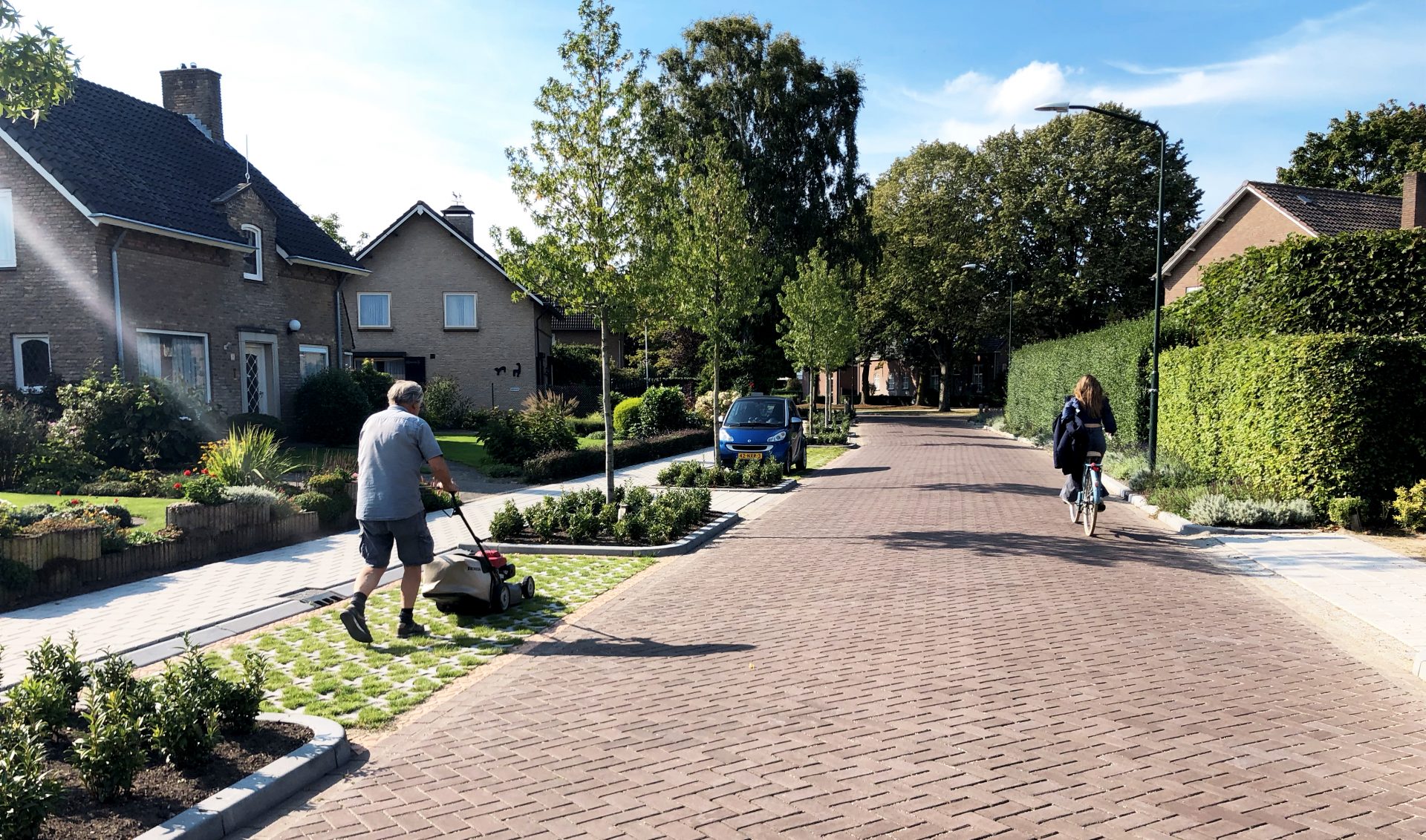 Onderhoud - Hoe houd je de groene parkeerplaats groen? - Park Positive