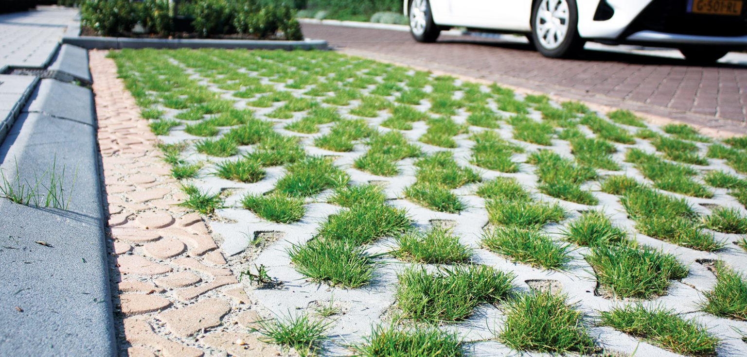 Home - Groen Parkeren met Duurzame Grastegels - Park Positive