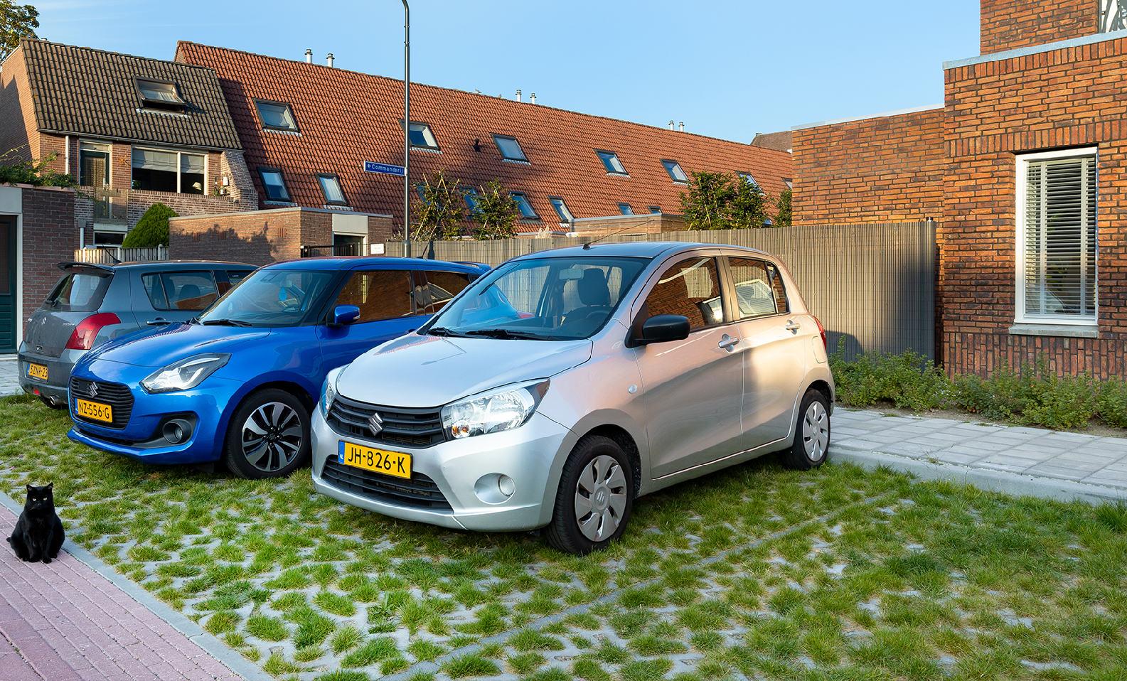 Home - Groen Parkeren met Duurzame Grastegels - Park Positive