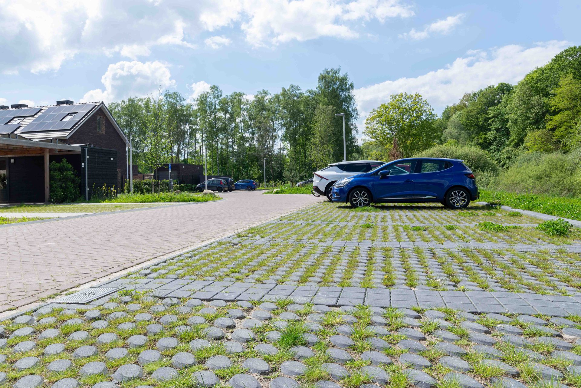 Home - Groen Parkeren met Duurzame Grastegels - Park Positive