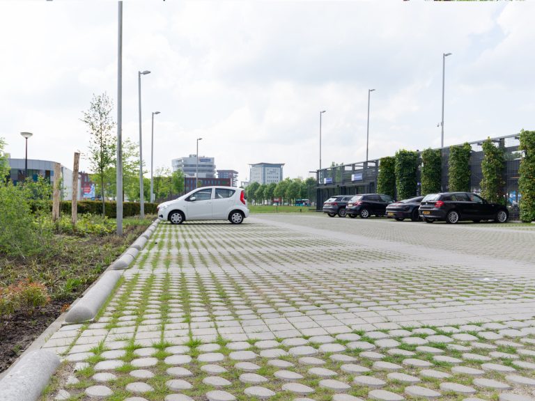 Home - Groen Parkeren met Duurzame Grastegels - Park Positive